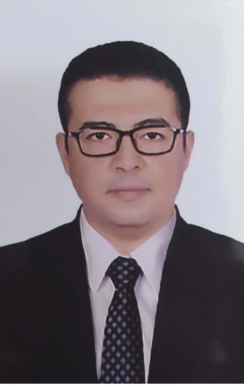 Ahmed Mohamed Mahmoud Ibrahim